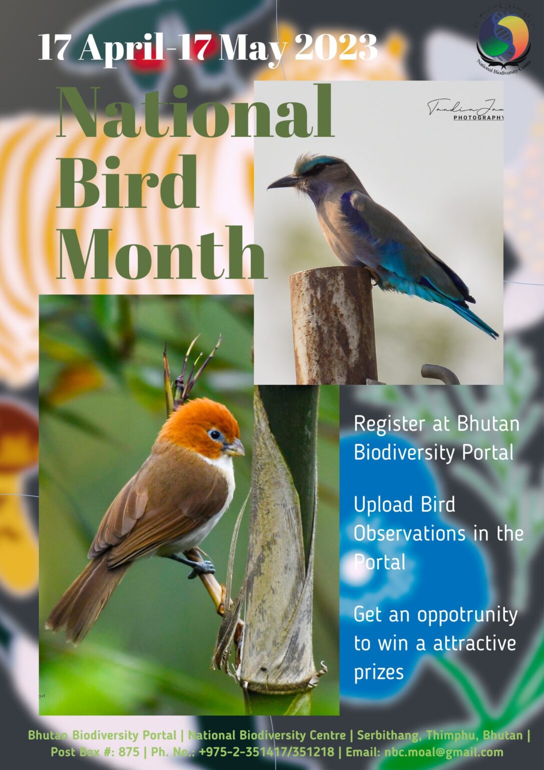 National Bird Month – National Biodiversity Centre