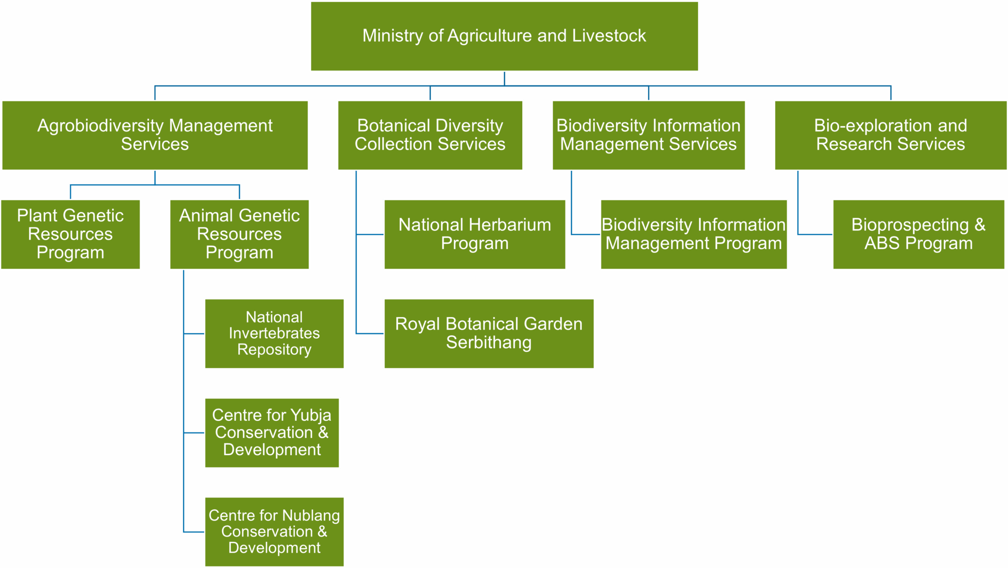 Organogram – National Biodiversity Centre